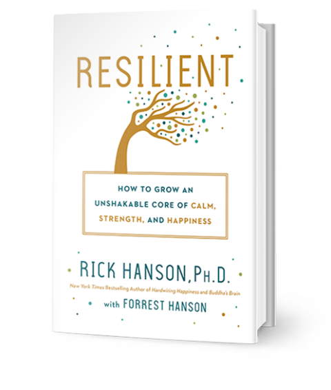 Change Your Brain and Your Life - Dr. Rick Hanson
