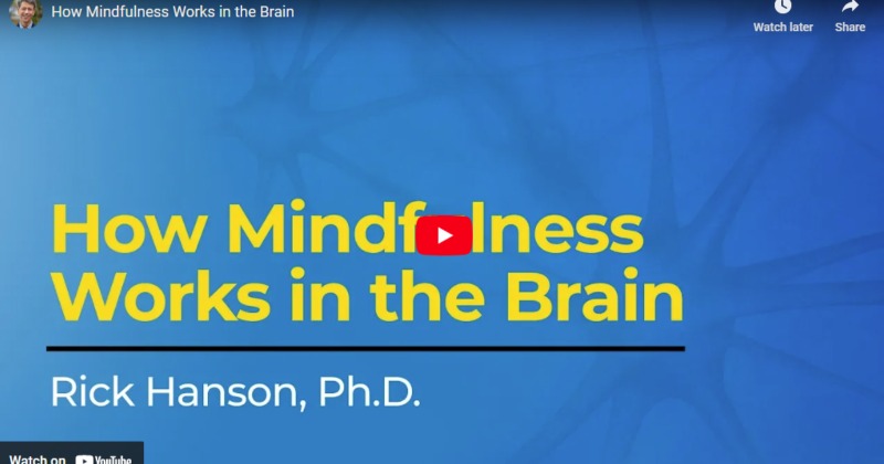 How Mindfulness Works in the Brain - Rick Hanson, PhD