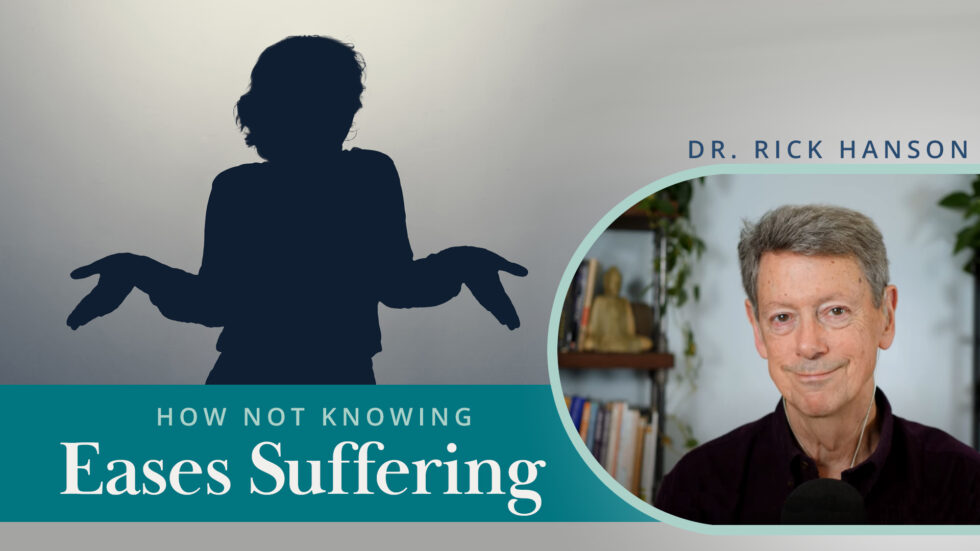 Wednesday Meditations with Dr. Rick Hanson - Rick Hanson, PhD