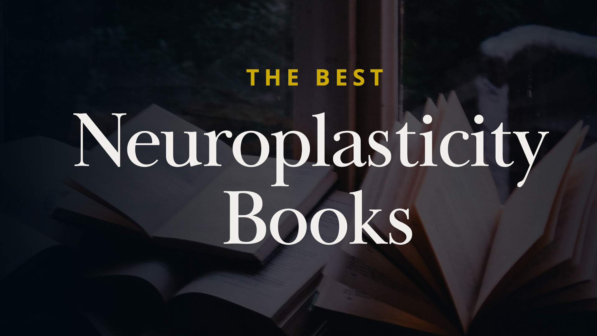 10 Best Neuroplasticity Books (2025) – Handpicked by Research